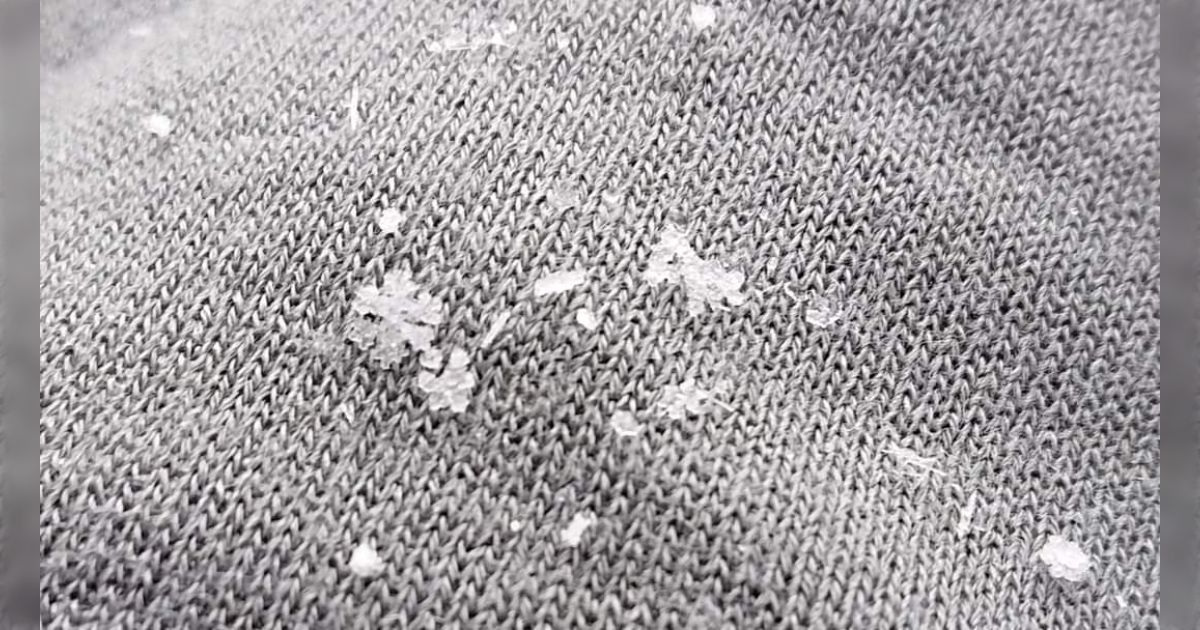 ハッシュタグ「関東雪結晶」2024年01月投稿分検索ログ（ほとんど降雪なしで件数も少ないです） - posfie