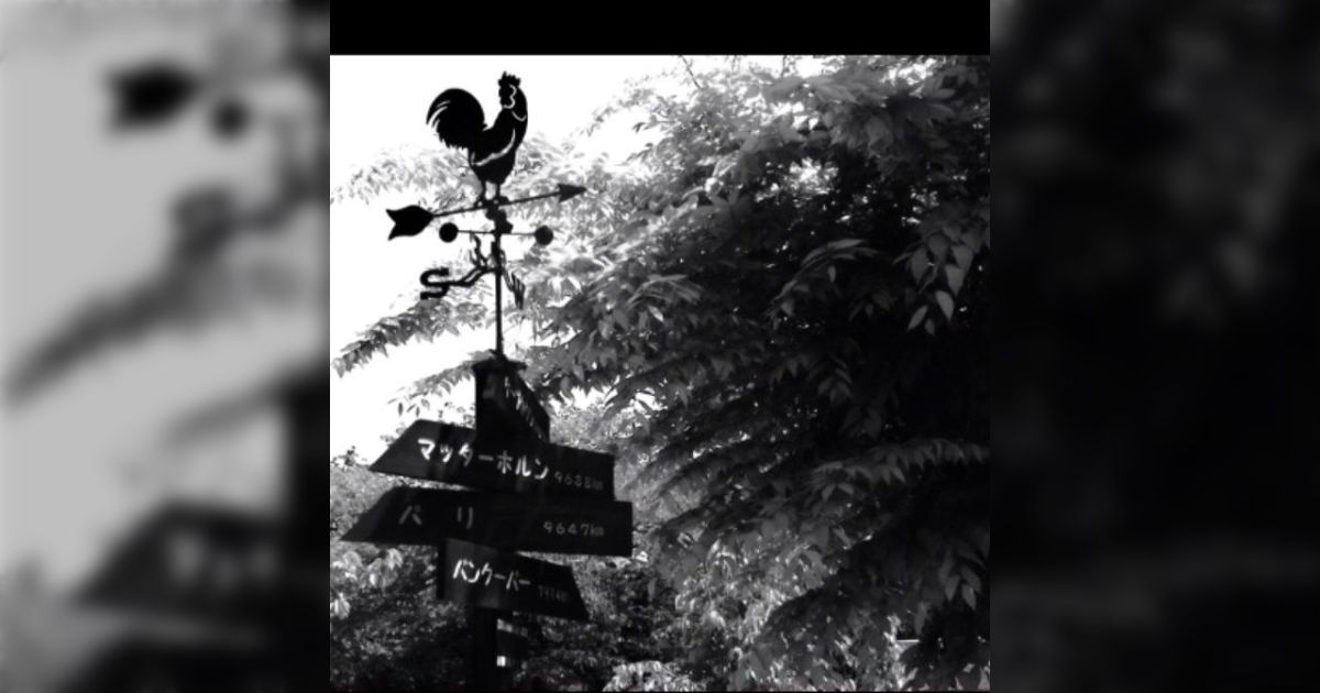 My Back Pages - posfie