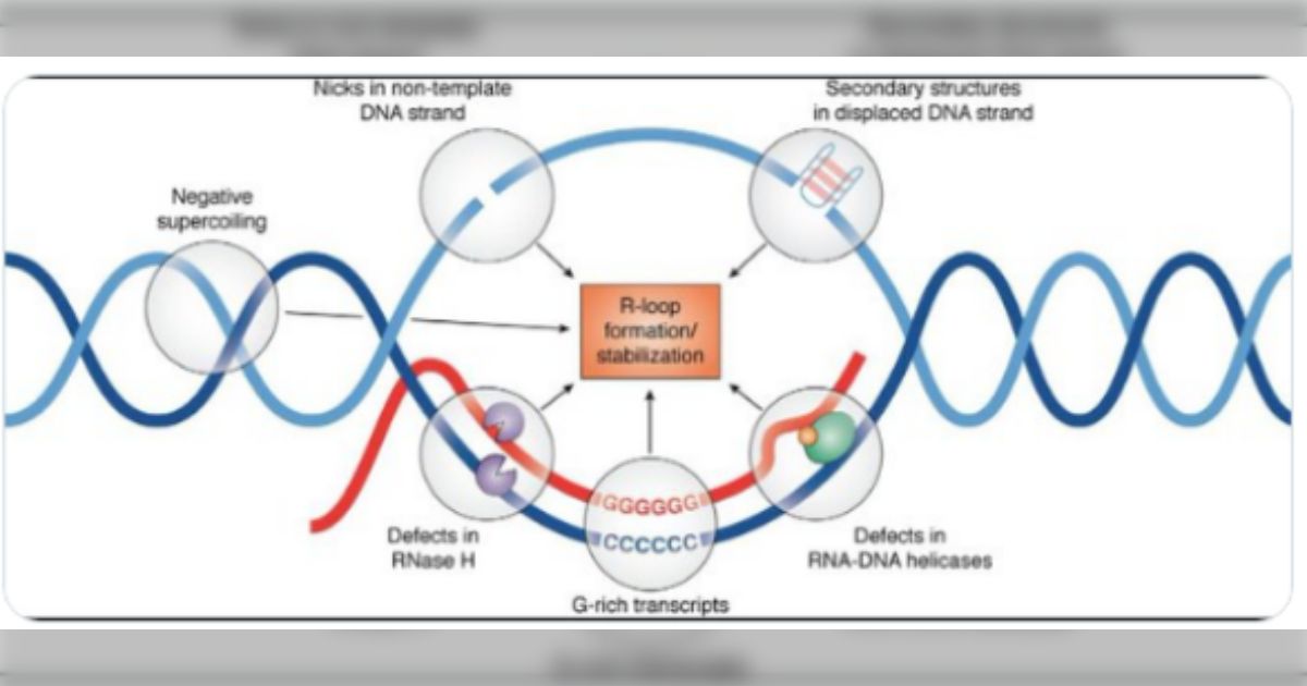 mRNAワクチンにDNAが大量残存 - posfie