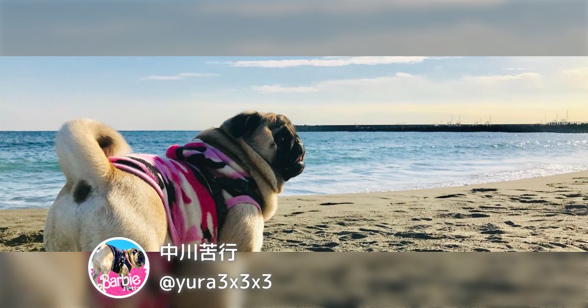 中川苦行(@yura3x3x3)のまとめ - posfie