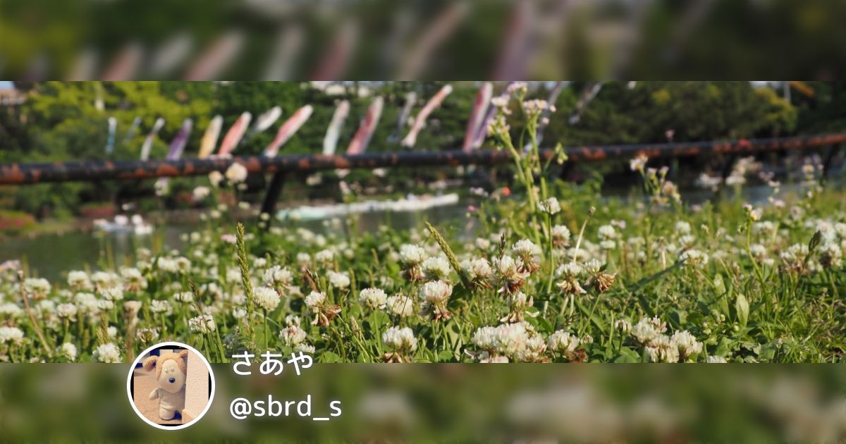 さあや(@sbrd_s)のまとめ - posfie