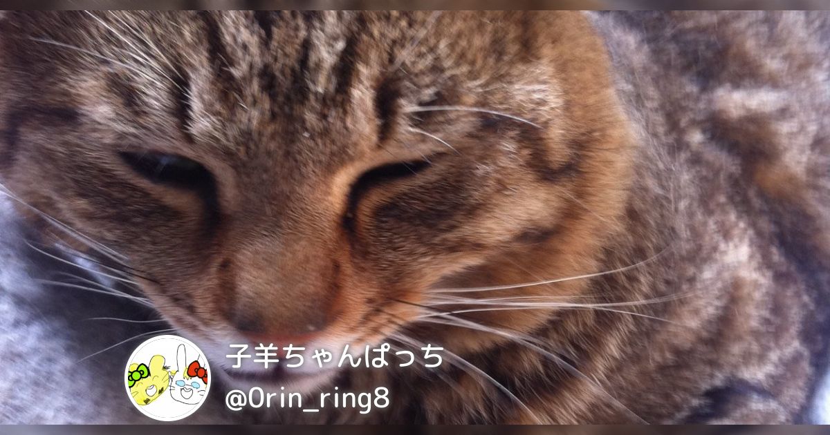 子羊ちゃんぱっち(@0rin_ring8)のまとめ - posfie