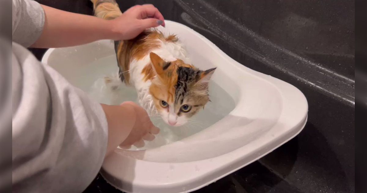 2022/9/26の話題ツイートまとめ - posfie