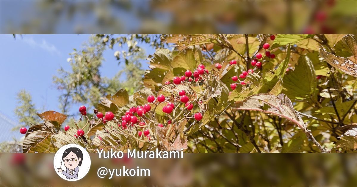 Yuko Murakami(@yukoim)のまとめ - posfie