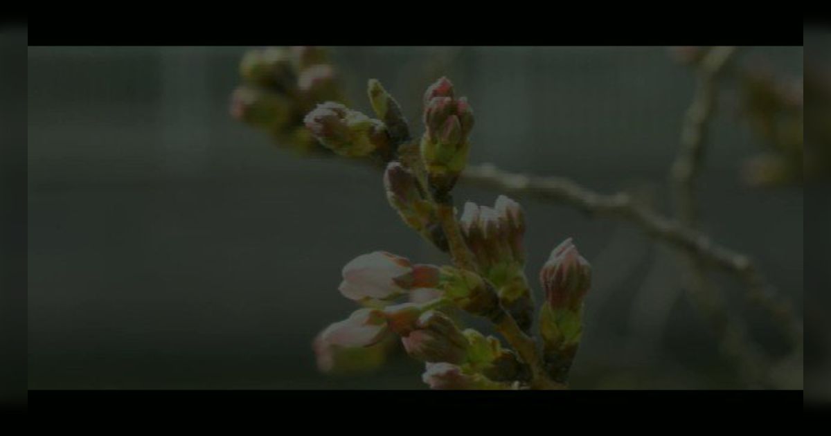 #GWに聴いてほしい 2023 about 己の影を歌う者 - posfie