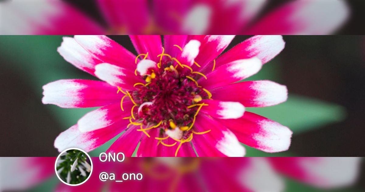 ONO(@a_ono)のまとめ - posfie