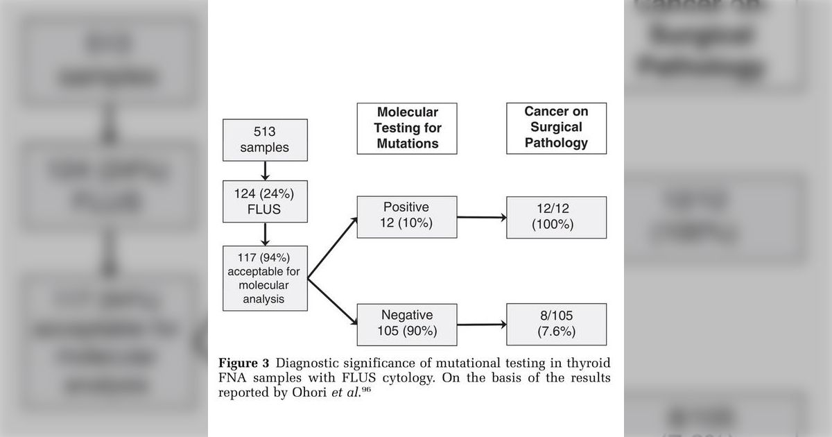 Nikiforov YE (2011) - posfie