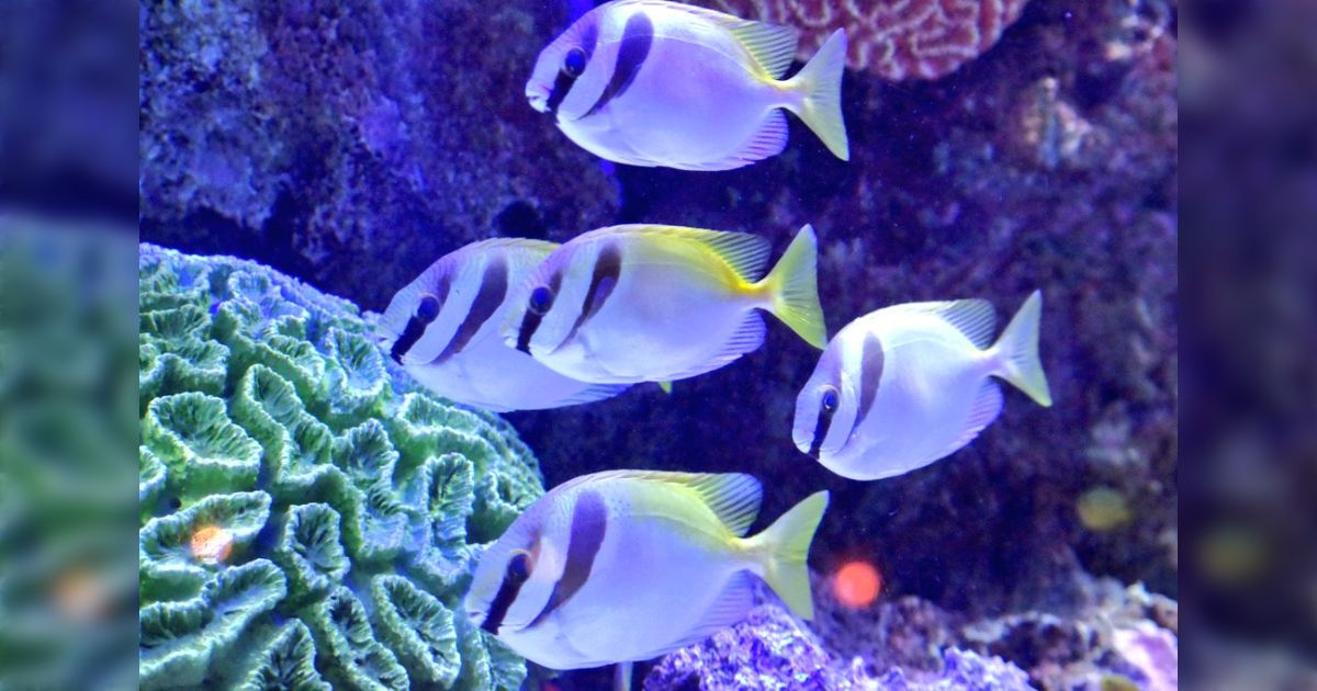 第60回深夜の真剣140字60分一本勝負 - posfie