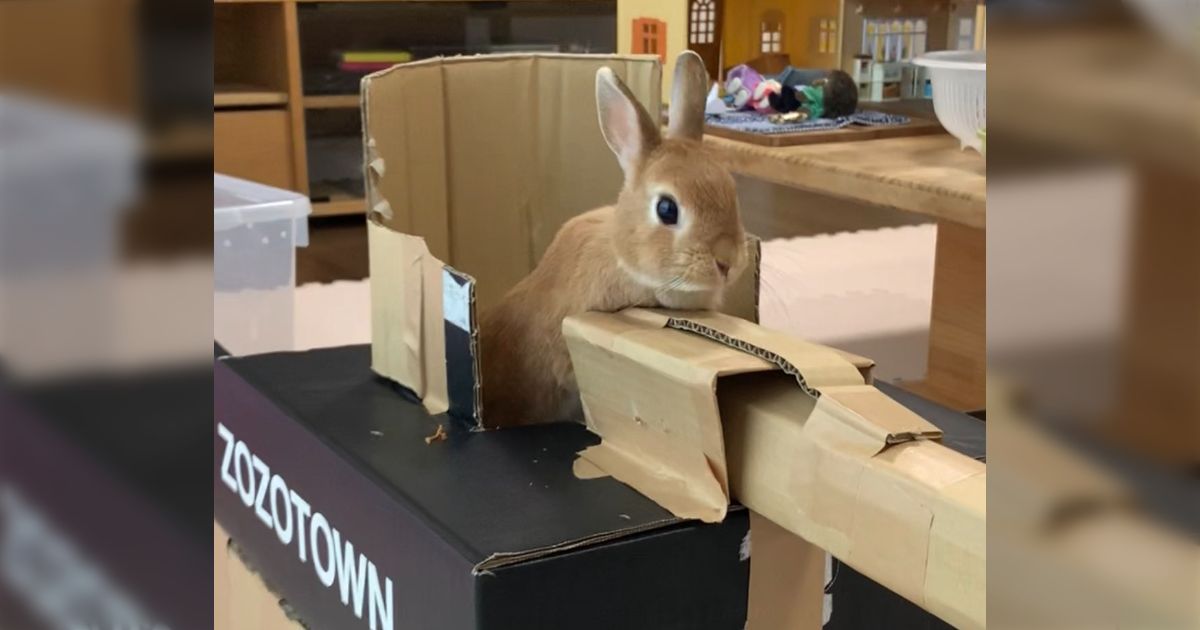 2020/5/25の話題ツイートまとめ - posfie