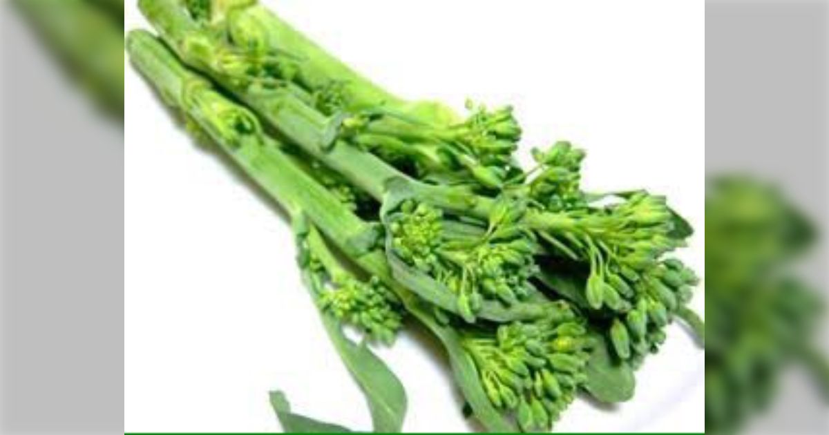 炎のカリーパンの中味・大募集！2016 - posfie