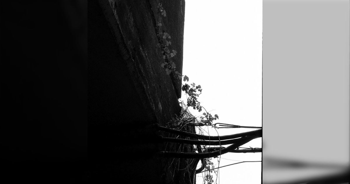 Weekly TodaysPhoto 2020.0427-0503 - posfie