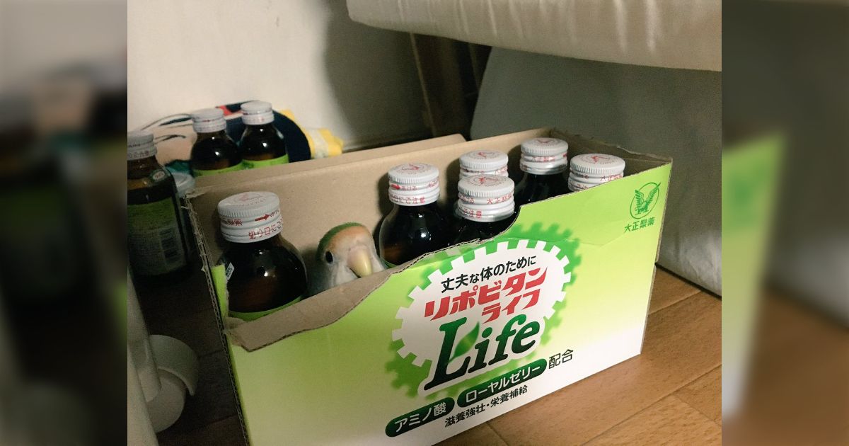 2016/09/17のRT済ツイートまとめ - posfie