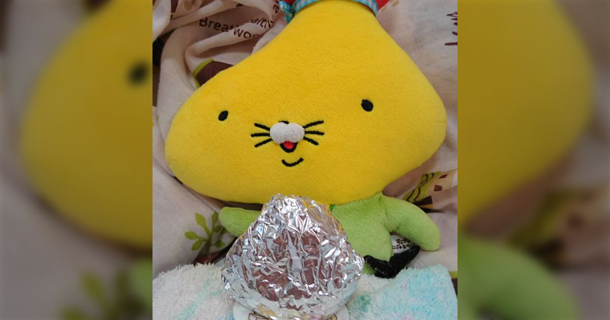 #ぬいぐるみ撮影60分一本勝負 7/12 - posfie