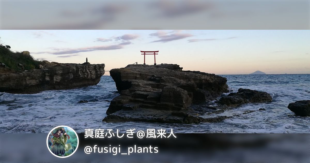 真庭ふしぎ＠風来人(@fusigi_plants)のまとめ - posfie