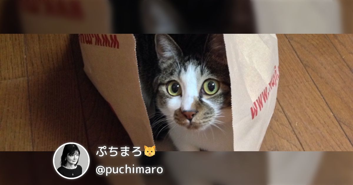 ぷちまろ🐱(@puchimaro)のまとめ - posfie
