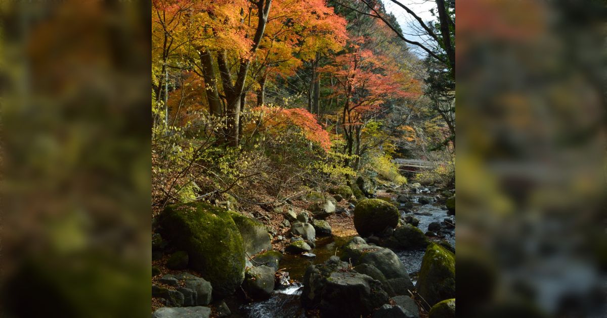 横浜市大都市制度推進本部室 ykhm_daitoshi 関連ツイートまとめ (2021年度分) - Togetter [トゥギャッター]