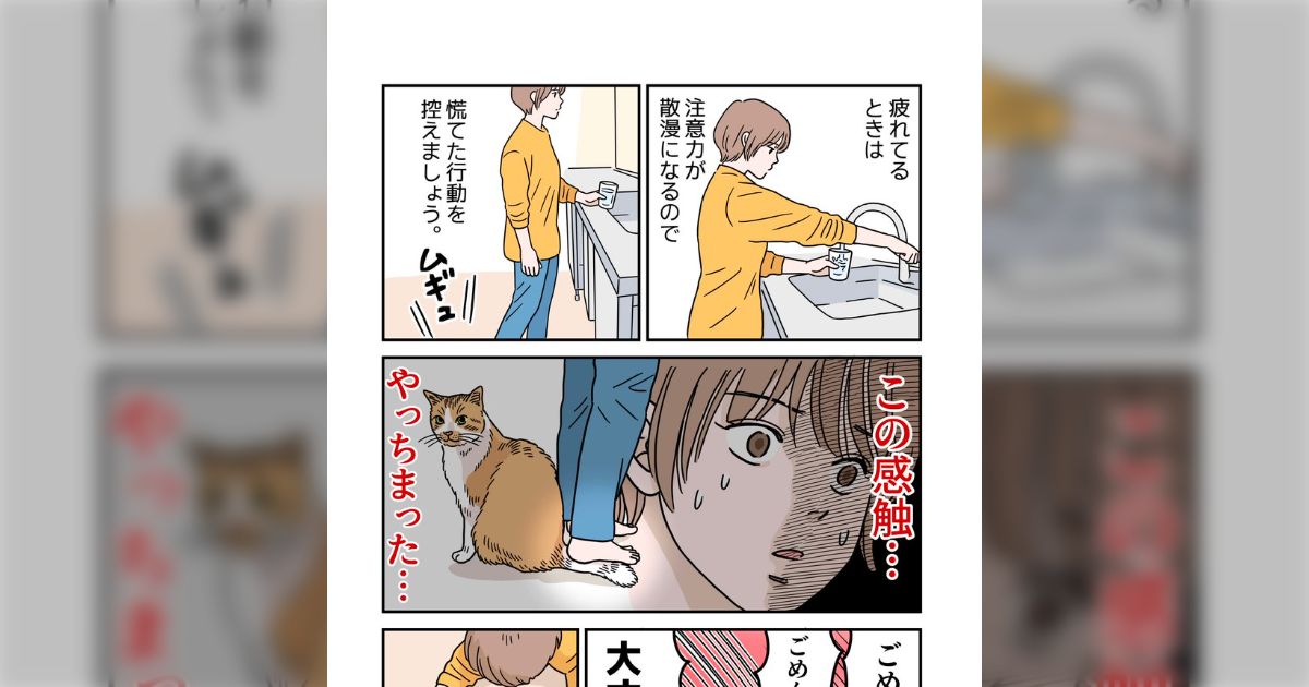 足に毛むくじゃらの感触があり『え!猫踏んだ!?ごめん!!』大急ぎで無事を確認し、わかった正体「あるあるすぎる」 Togetter トゥギャッター