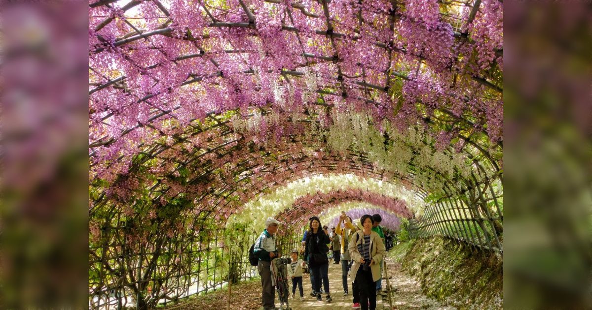 一人ツーリング記・2018年4月26日 - posfie