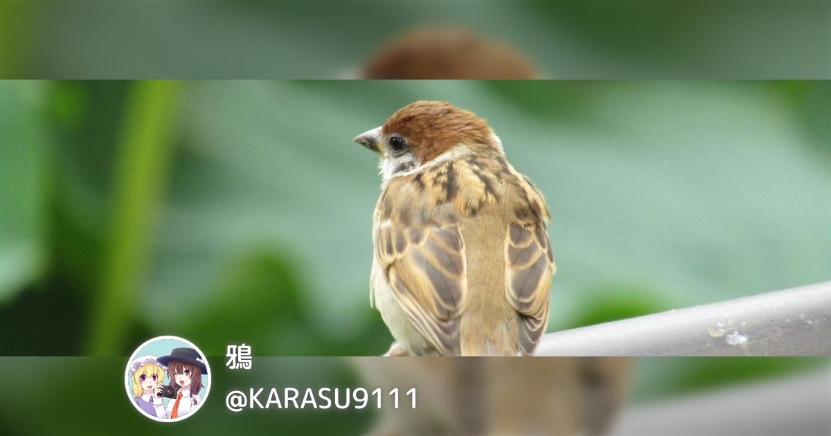 鴉(@KARASU9111)のまとめ - posfie