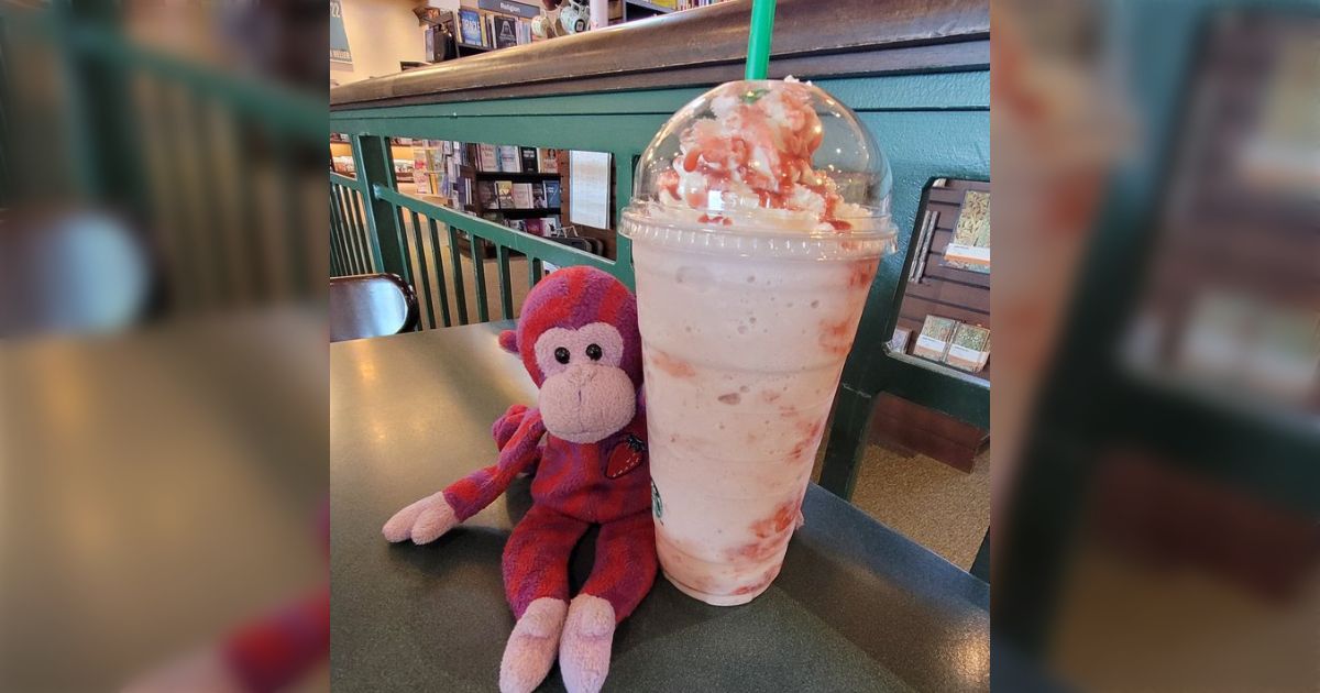 #ぬいぐるみの時間 7/20 - posfie