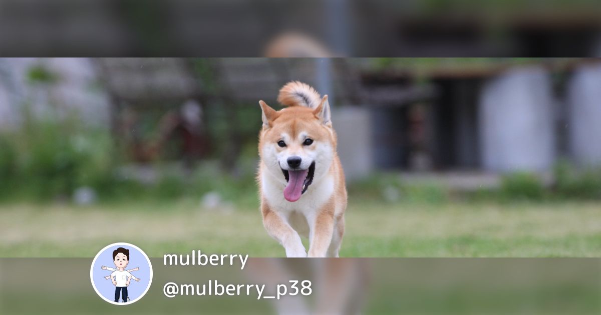 mulberry(@mulberry_p38)のまとめ - posfie