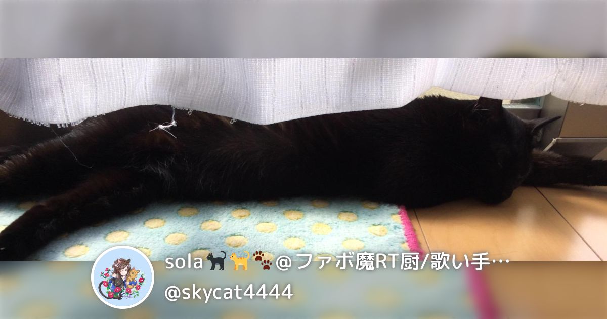 sola🐈‍⬛🐈🐾＠ファボ魔RT厨/歌い手グループ準備中＆新人VTuber(@skycat4444)のまとめ - posfie