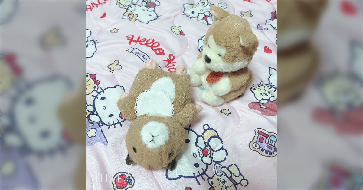 #ぬいぐるみの時間 1/17 - posfie