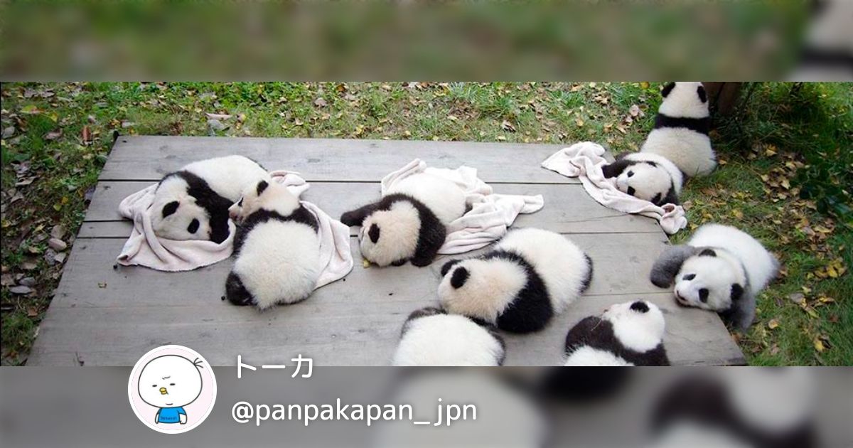 トーカ(@panpakapan_jpn)のまとめ - posfie