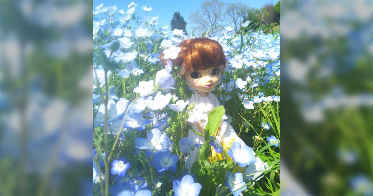 写真で綴るFlowers 2017 - posfie