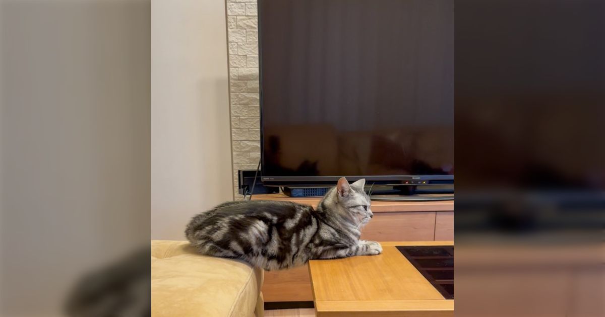 2025/3/7の話題ツイートまとめ - posfie