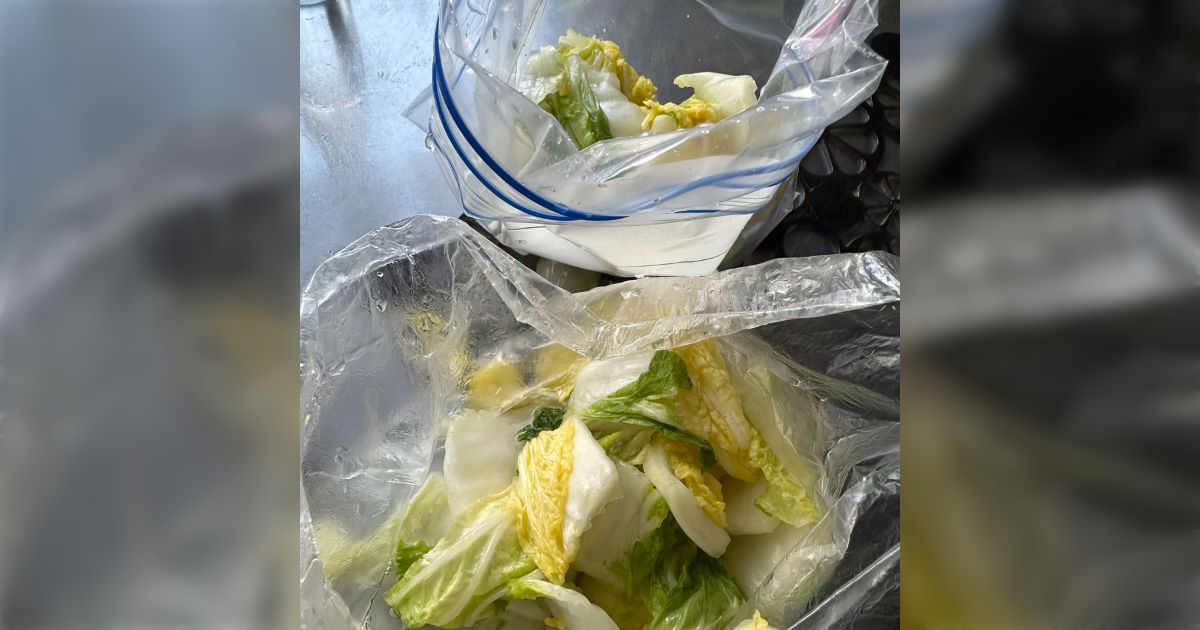 エコウォーターのまとめ 2024/11～2025/1/15 - posfie