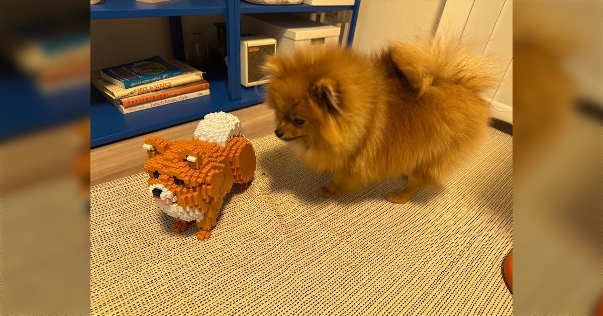 2025/2/2の話題ツイートまとめ - posfie