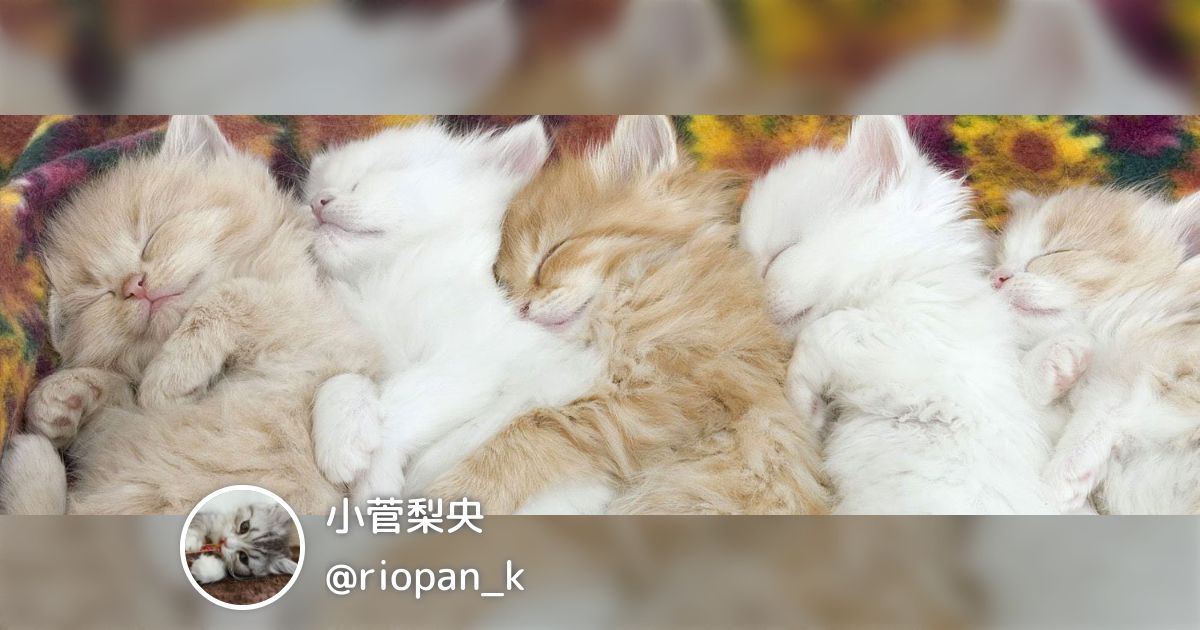 小菅梨央(@riopan_k)のまとめ - posfie