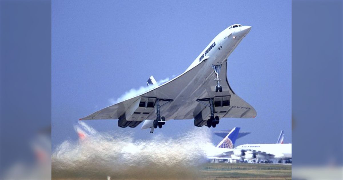 #ぬこの目覚ましクイズ 2018年01月 - posfie