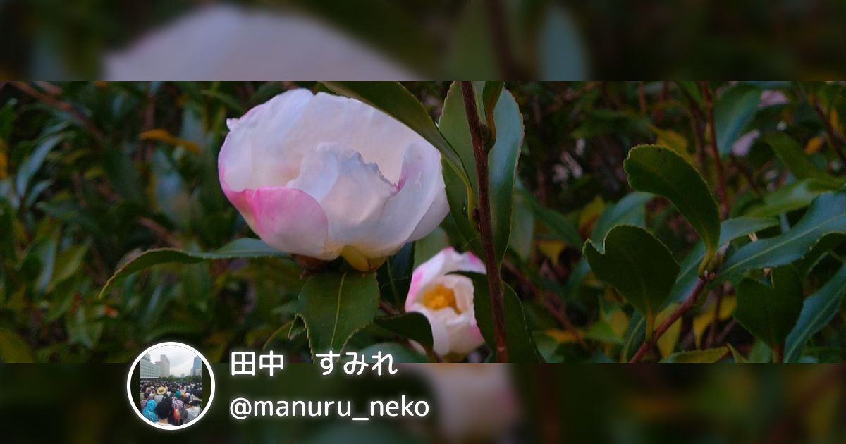 田中 すみれ(@manuru_neko)のまとめ - posfie