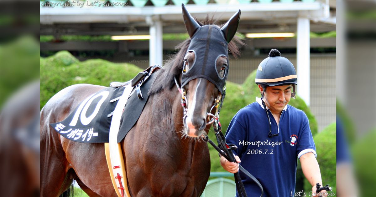 モノポライザー - posfie