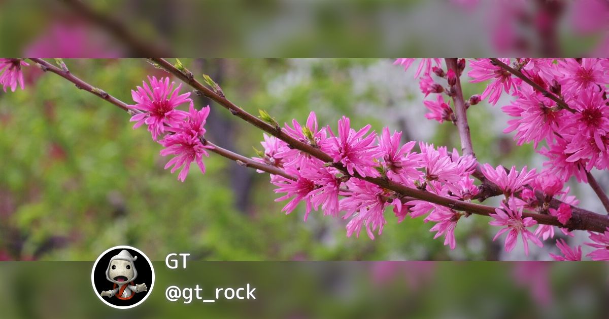 GT(@gt_rock)のまとめ - posfie