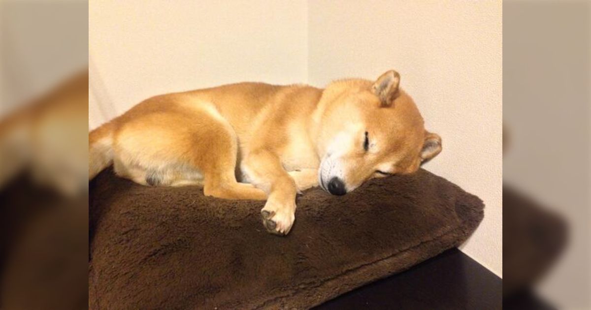 ＃山雅サミット2014 。 - posfie