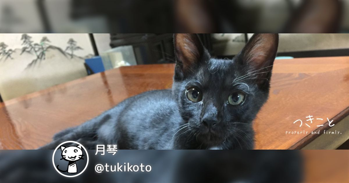 月琴(@tukikoto)のまとめ - posfie