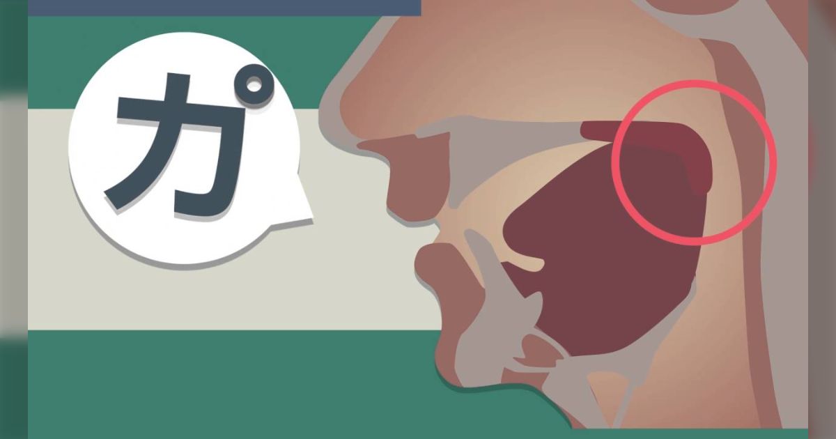 鼻濁音、使ってる？ - posfie