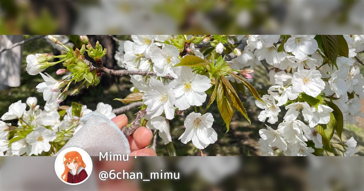 Mimu☾·̩͙⋆(@6chan_mimu)のまとめ - posfie