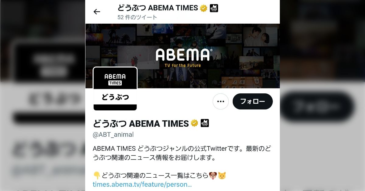 ABEMA ビジネスアカウント履歴 - Togetter [トゥギャッター]
