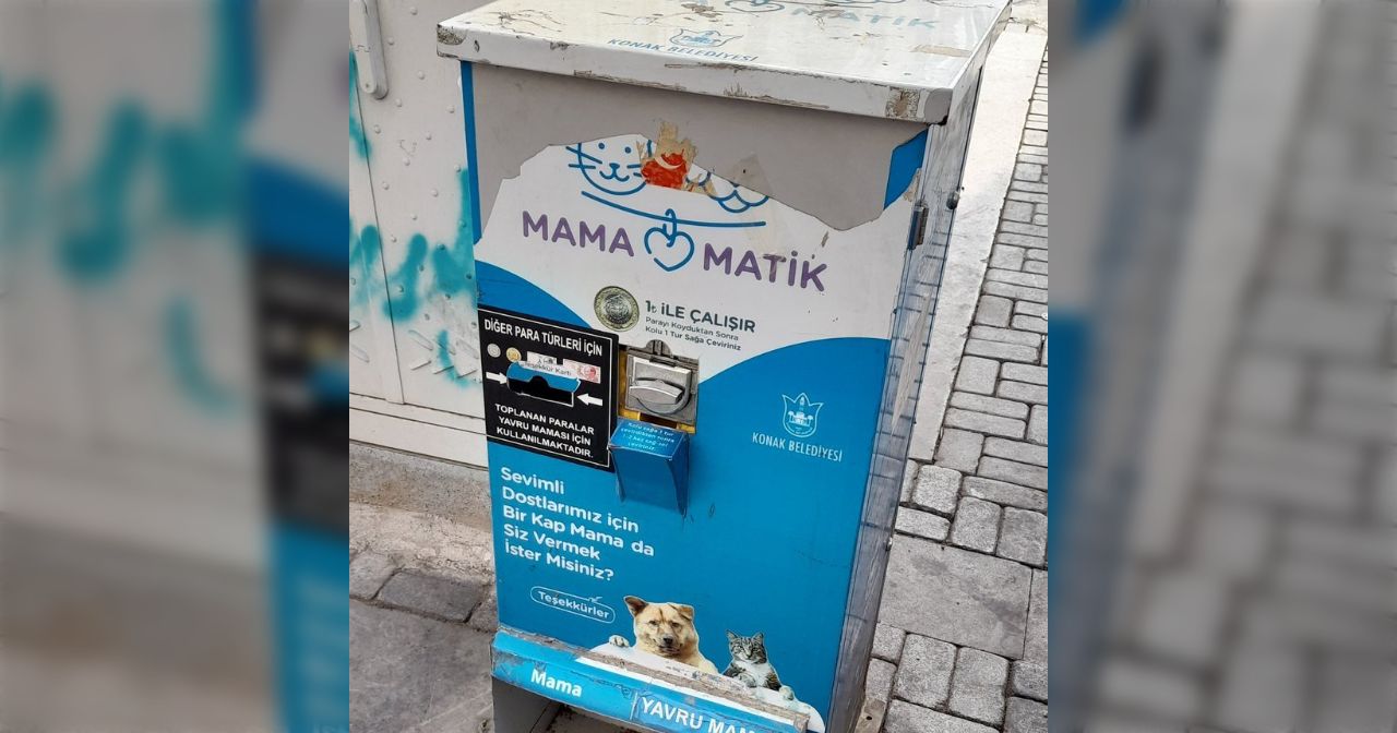 街角に野良犬猫のためのフード自販機を置く国、トルコの現実的なペット事情を聞いてみた - Togetter