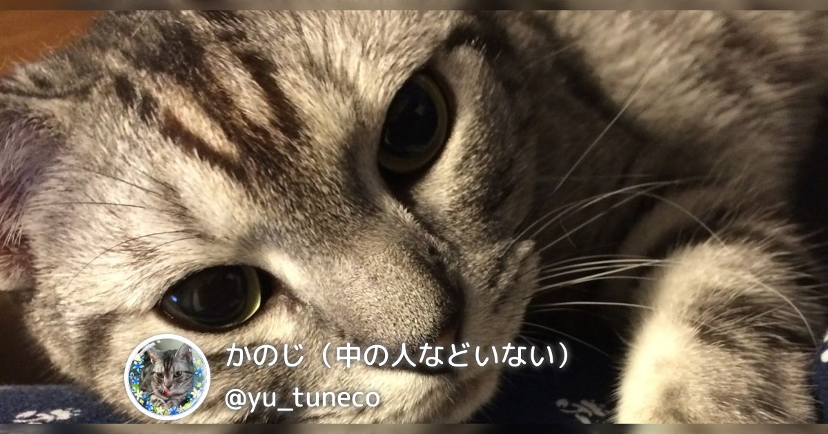 かのじ（中の人などいない）(@yu_tuneco)のまとめ - posfie