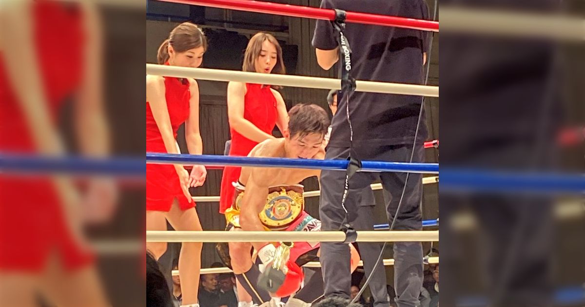 WBOアジアパシフィック王者の井上浩樹にブシロードとバンドリから祝福のリプライを贈られる！ - posfie