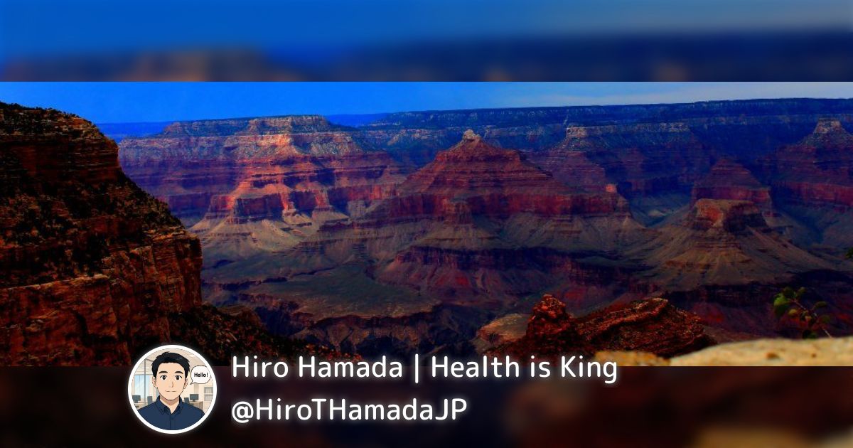 Hiro Hamada | Health is King(@HiroTHamadaJP)のまとめ - posfie