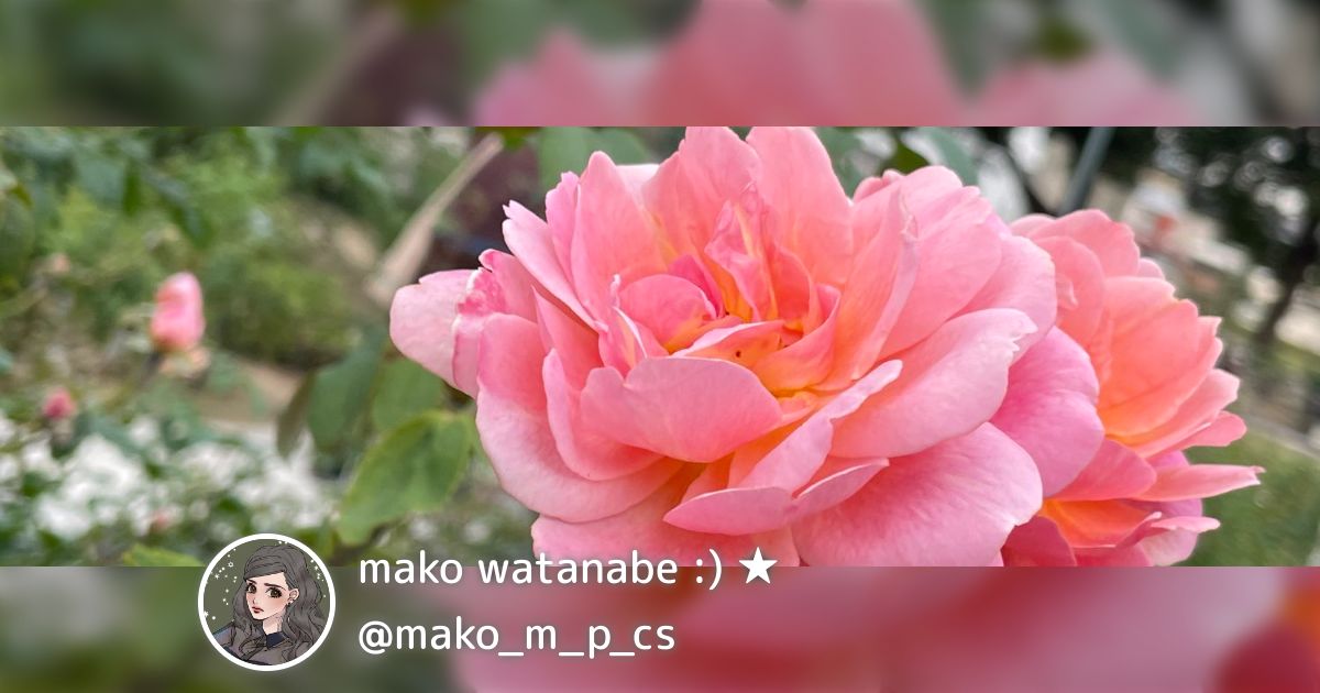 mako watanabe :) ★(@mako_m_p_cs)のまとめ - posfie