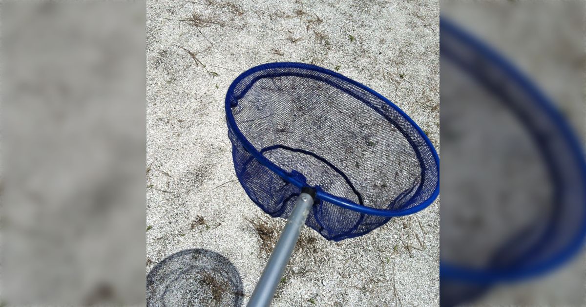 わかしいの「簀立遊び」参加記録 - posfie