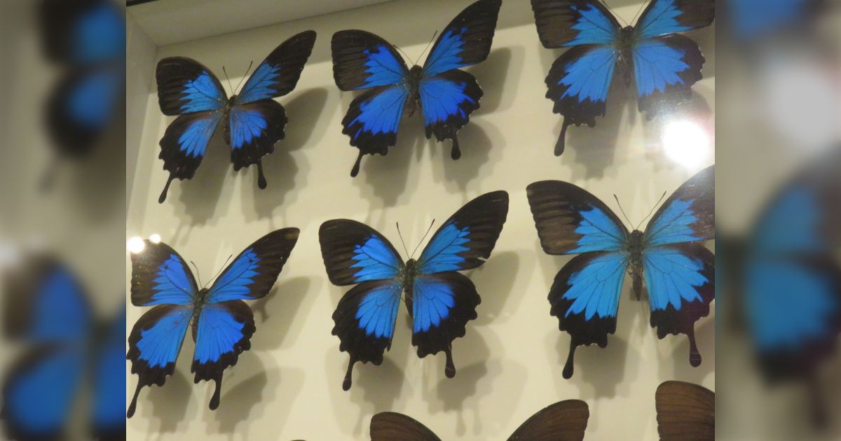 東京遠征 2018.7.14 - posfie