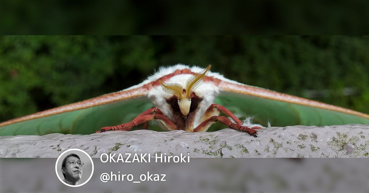 OKAZAKI Hiroki(@hiro_okaz)のまとめ - posfie